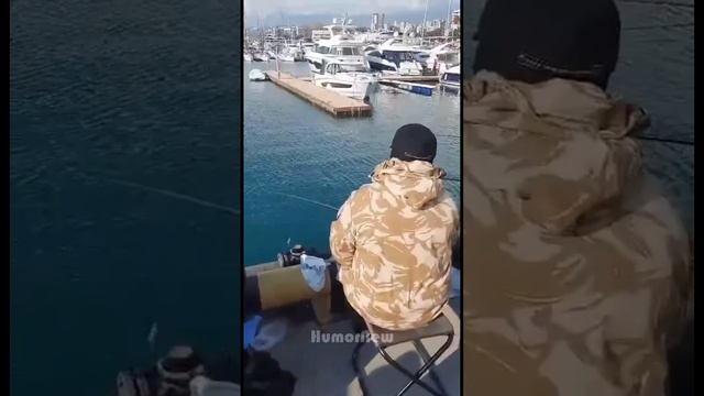 Нарезка смешных видео