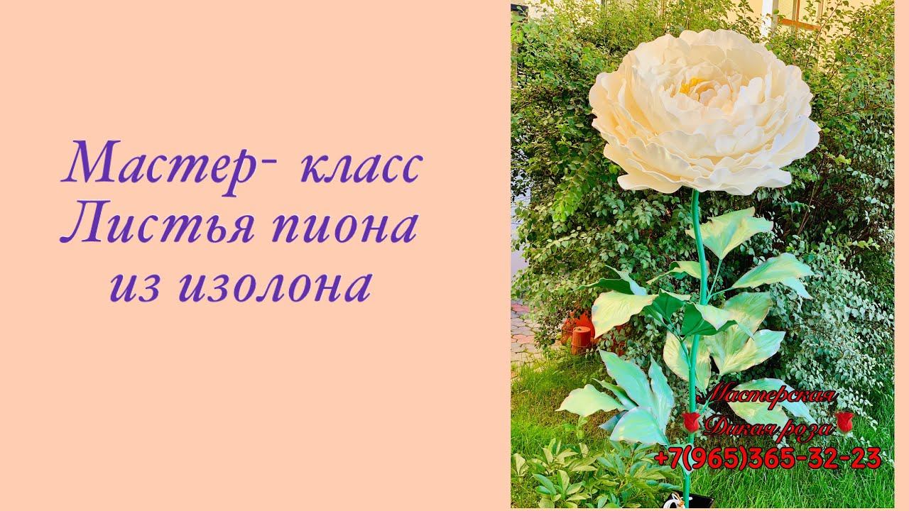 Листья пиона из изолона /Мастер-класс/DIY/WILD.ROSE_WORKSHOP
