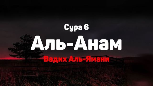 Сура 6 Аль-Анам - Вадих Аль-Ямани