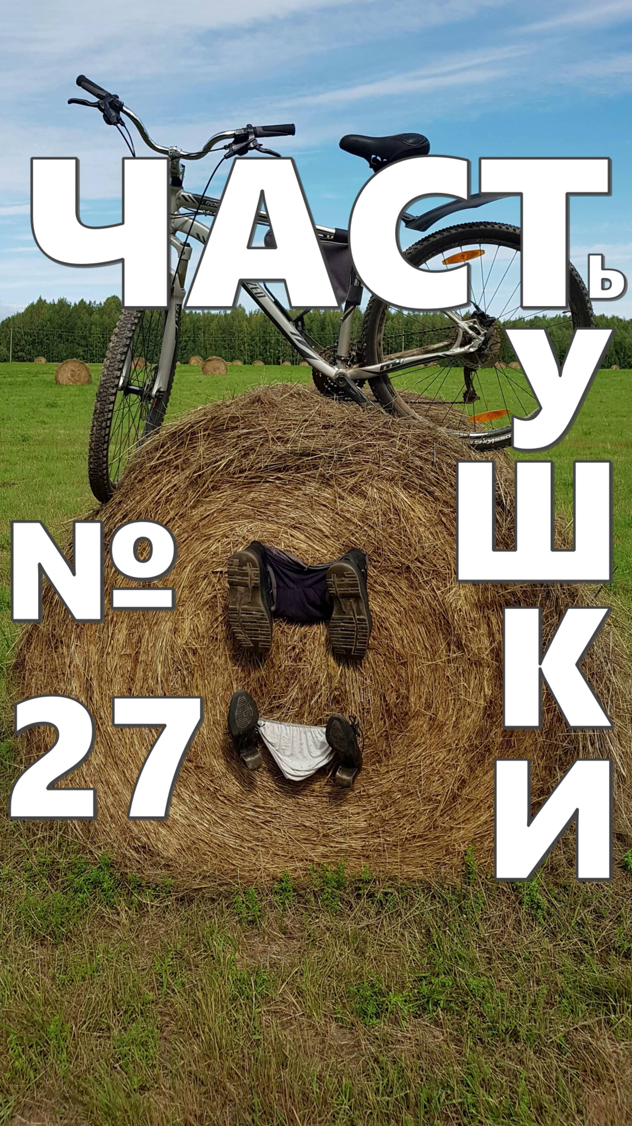 НЕДОМОГАНИЕ - частушка