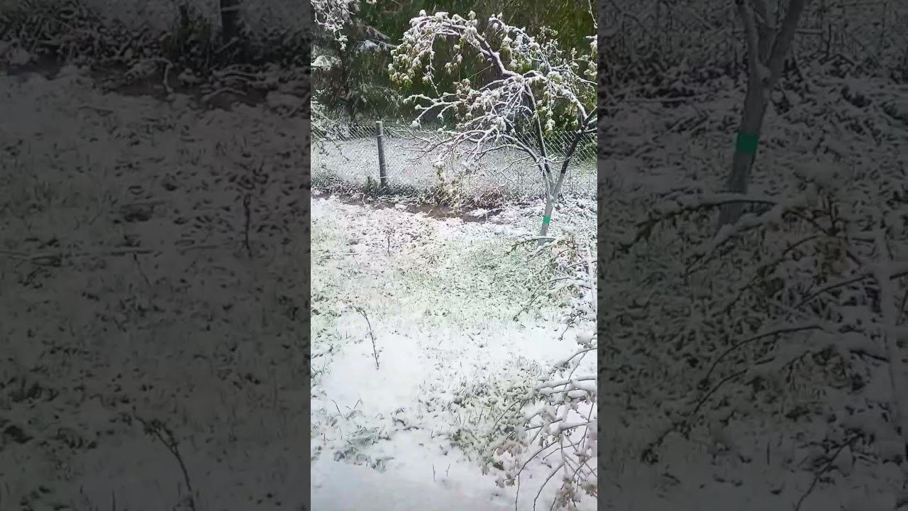 Весна  07.05.2024 ❄️