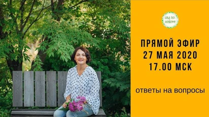 Задайте вопрос дизайнеру 27 мая 2020