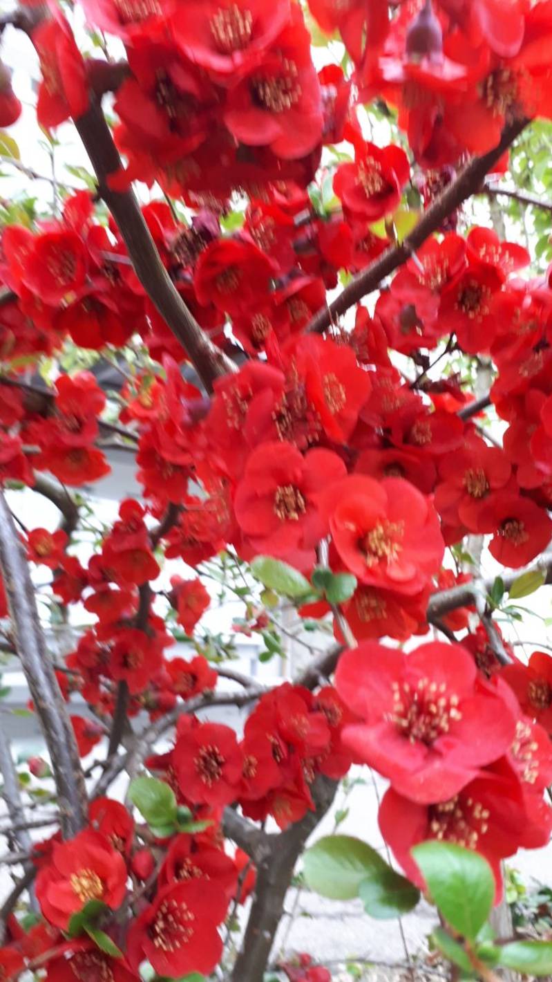 Кофейная встреча