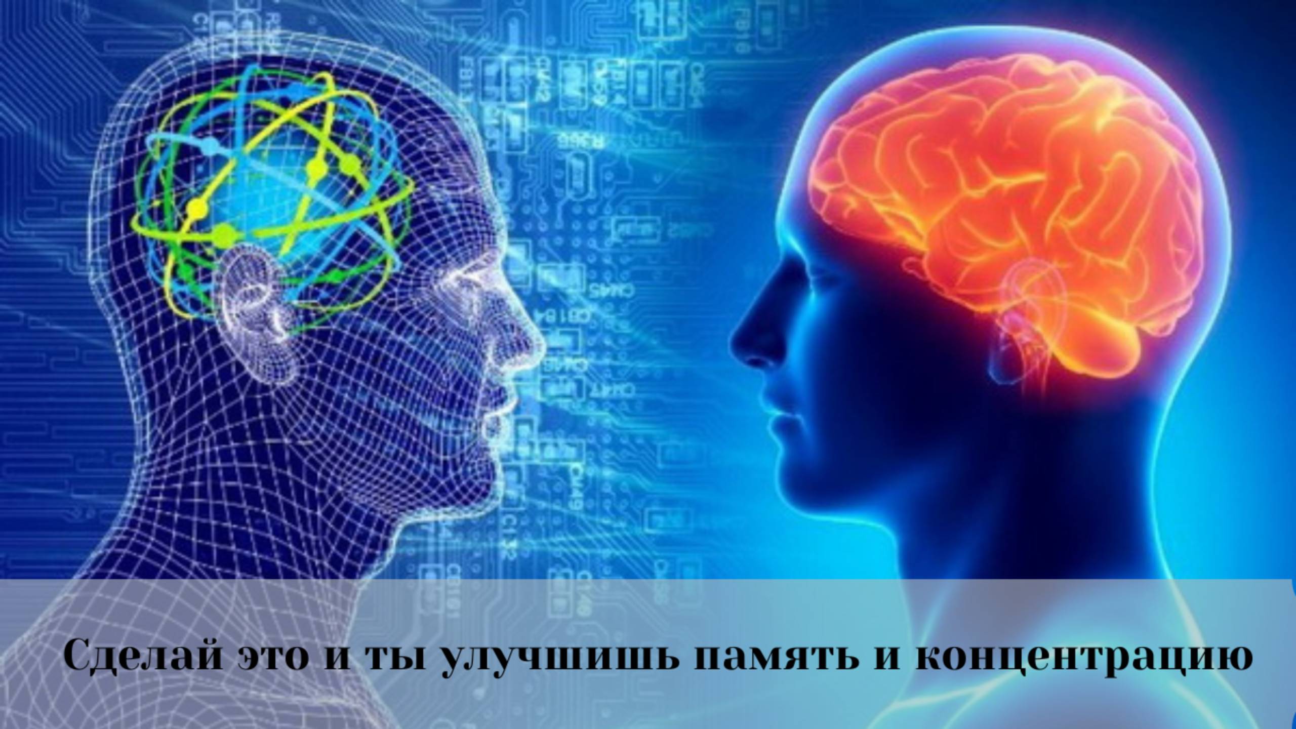 Сделай это и ты резко улучшишь свою память и концентрацию