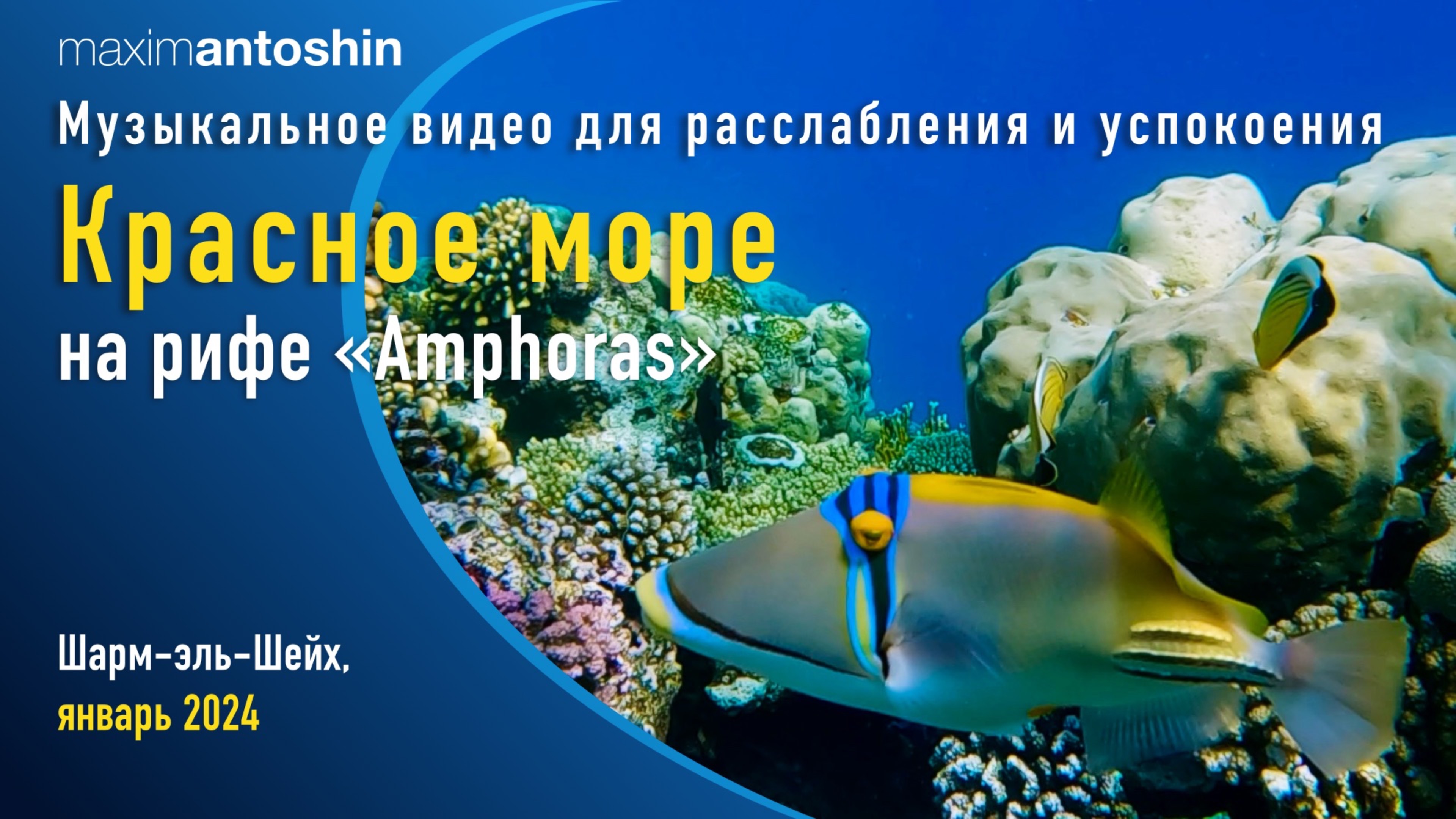 Музыкальное видео для успокоения и расслабления. Красное море. Риф "Амфорас". Январь, 2024