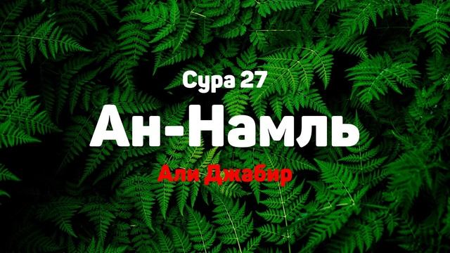 Сура 27 Ан-Намль - Али Джабир