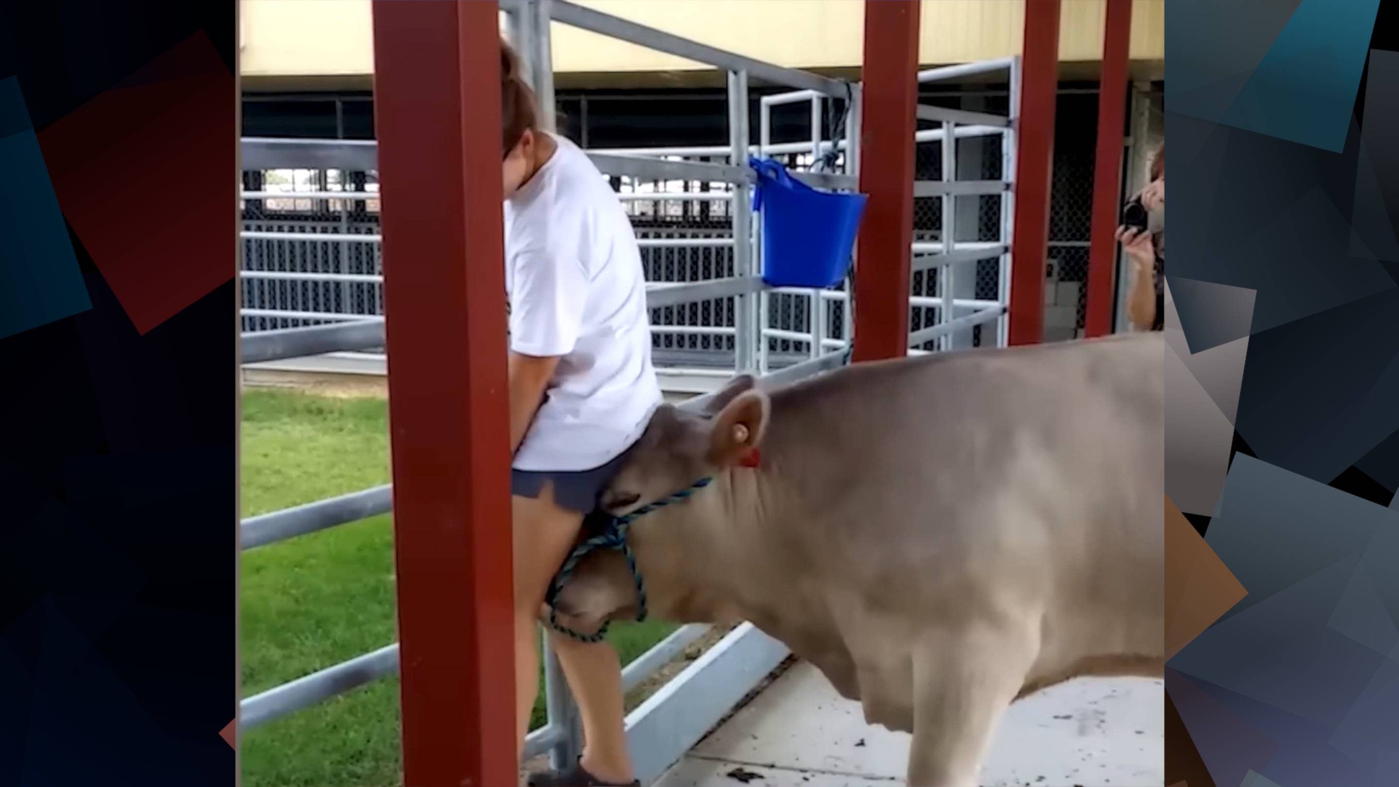 СМЕШНЫЕ ВИДЕО. СМЕХ — ЛУЧШЕЕ ЛЕКАРСТВО: ПРИКОЛЫ, ОТ КОТОРЫХ НЕВОЗМОЖНО УСТОЯТЬ!