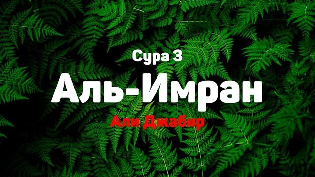 Сура 3 Аль-Имран - Али Джабир