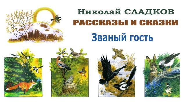 Сказка «Званый гость» Николай Сладков - Слушать