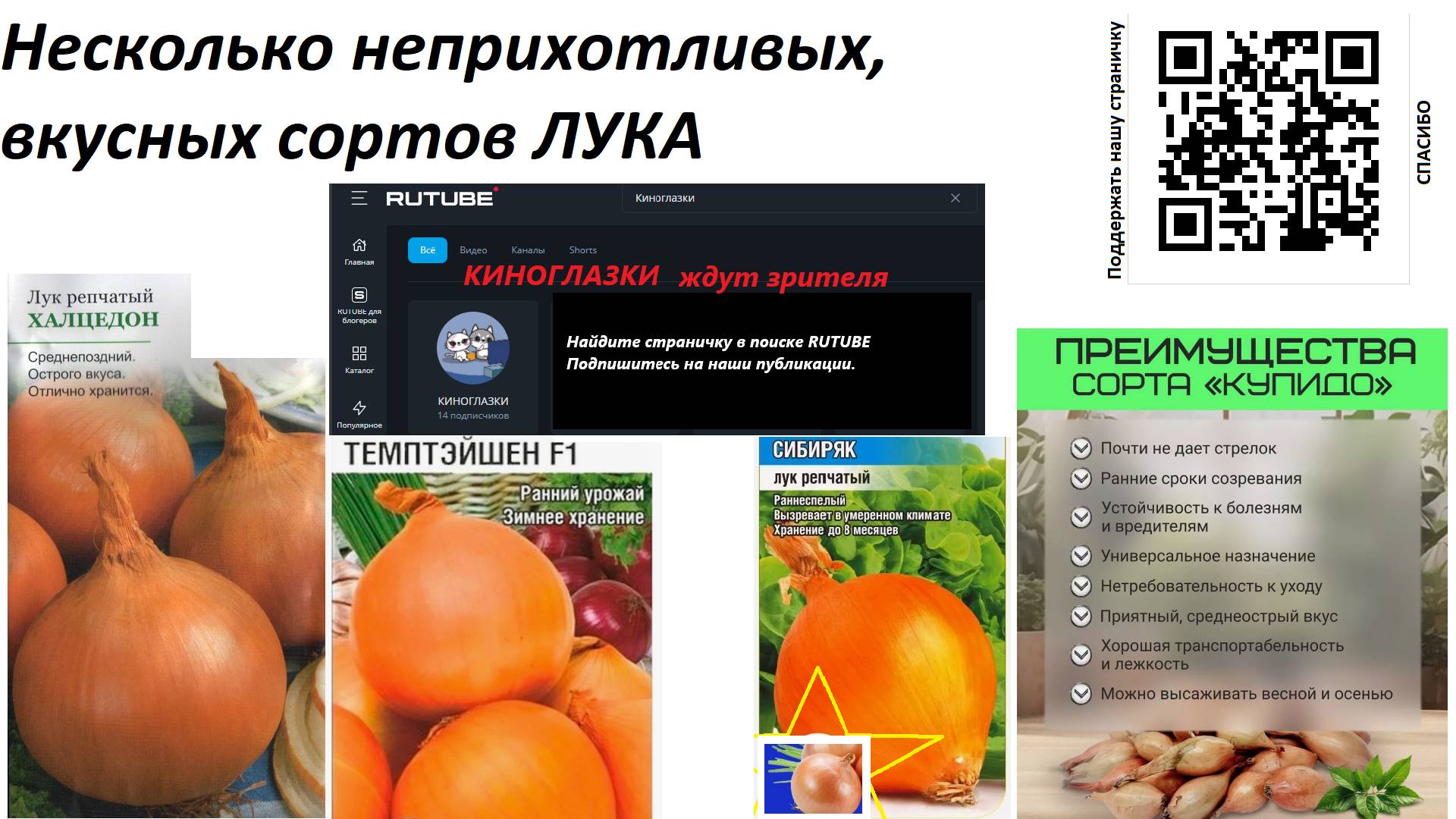 Несколько неприхотливых и вкусных сортов лука и его польза