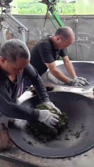 Чайный процесс: от листа до чашки!