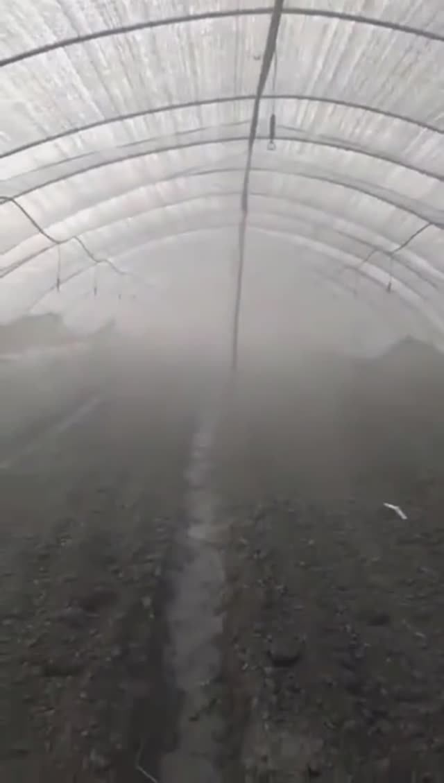 Мелкодисперсные полив в теплице.