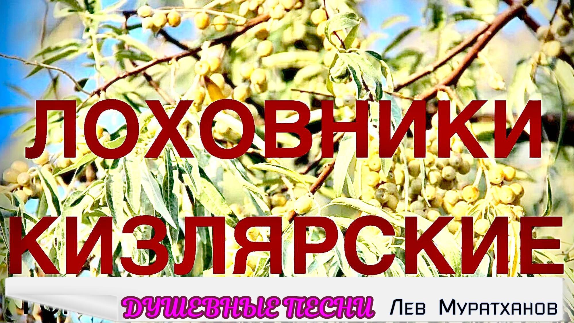 «Лоховники» Душевные песни