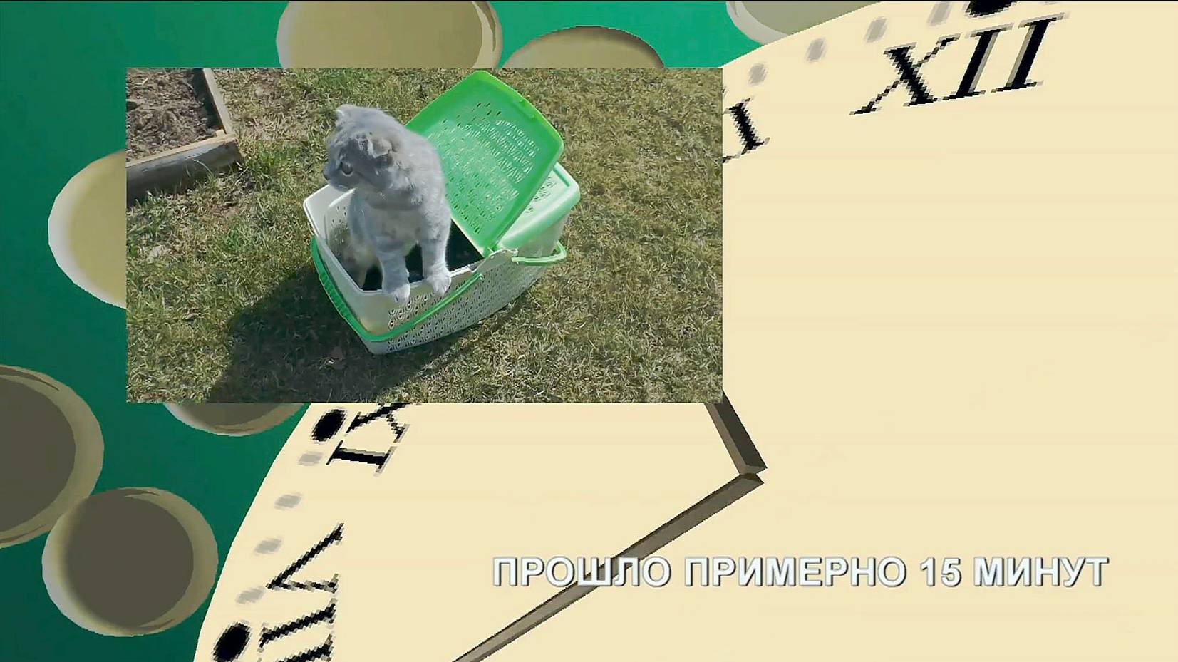 Барсяткин в первый раз на даче