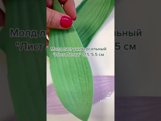 Молд лист универсальный "Лист Лилии" 17,5*5,5 см