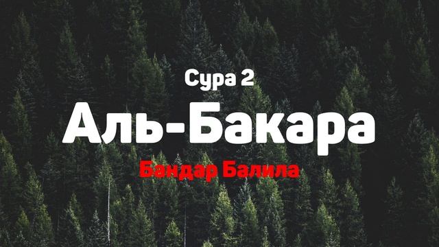 Сура 2 Аль-Бакара - Бандар Балила
