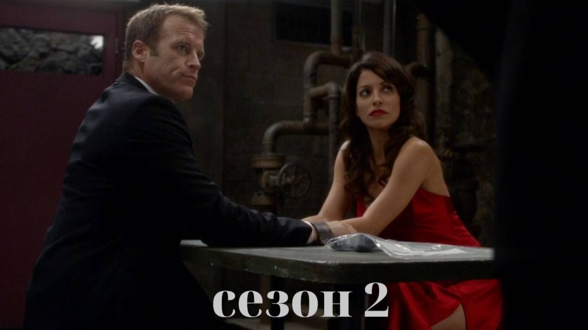 Сериал Живая мишень / Human Target Сезон 2 серия 2