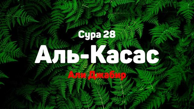 Сура 28 Аль-Касас - Али Джабир