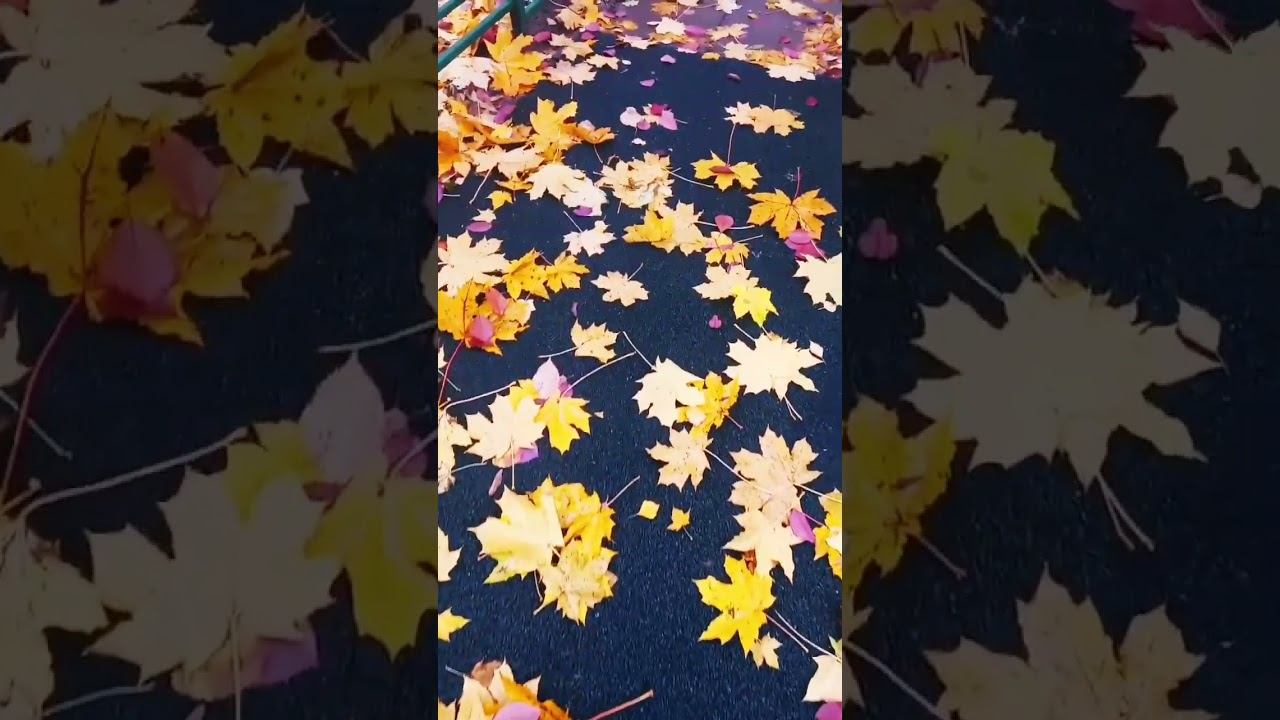 #beautifulnature #beautiful #autumn