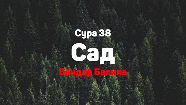 Сура 38 Сад - Бандар Балила