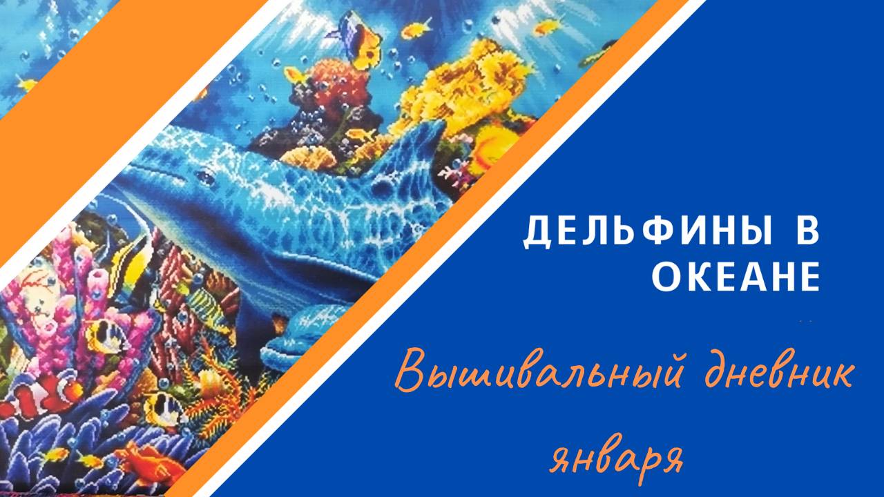 Дельфины - что навышивала за январь