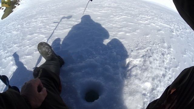 Рыбалка 19 марта,Достаю пешню,ловим полосатиков.