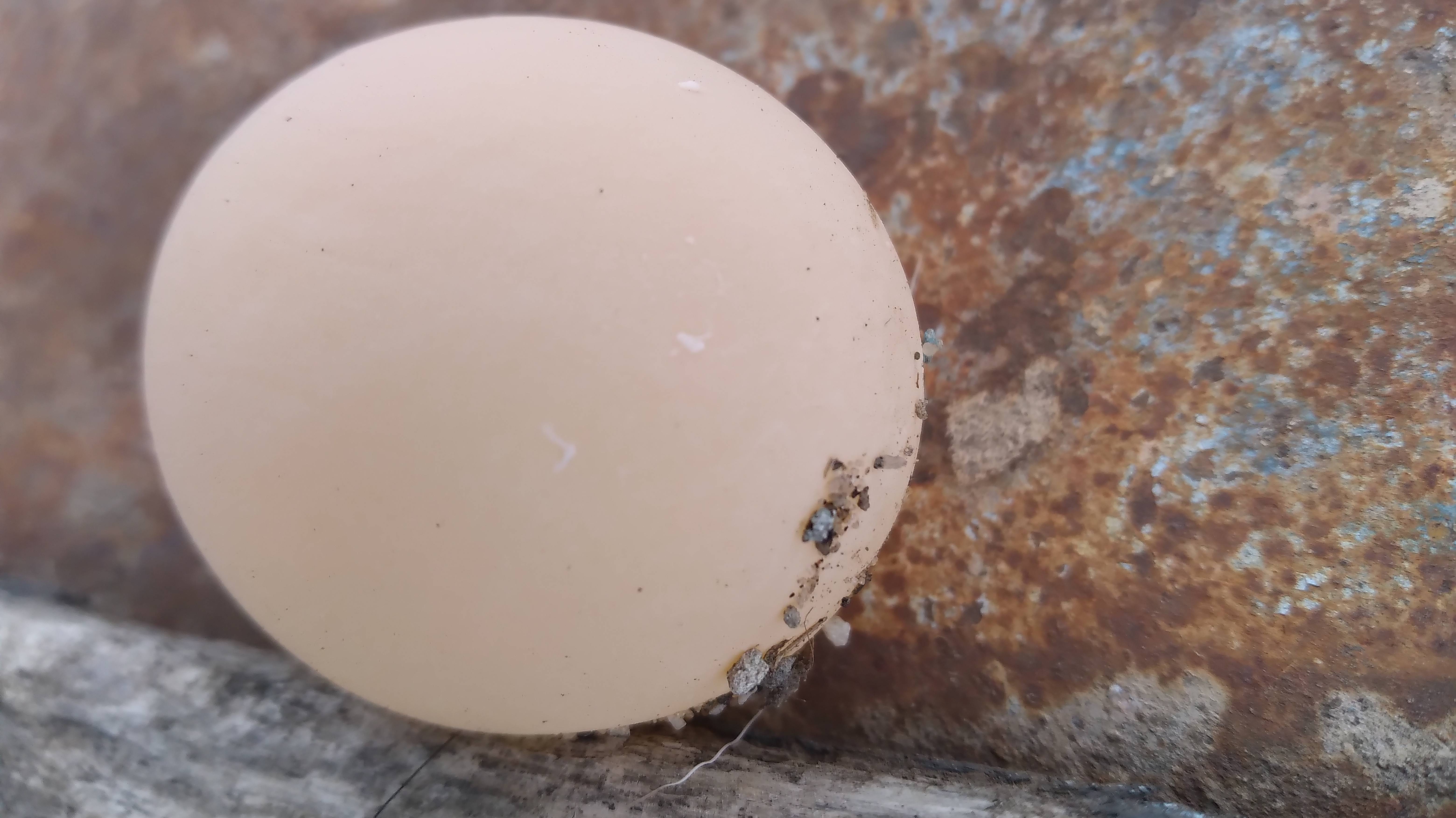 Земельный участок должен быть в порядке