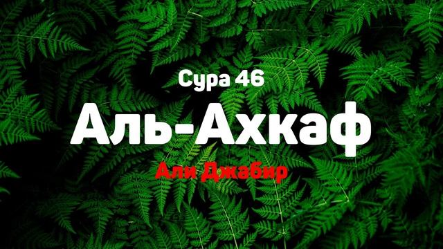 Сура 46 Аль-Ахкаф - Али Джабир