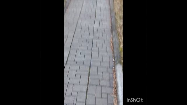 Ураган в Горном Алтае