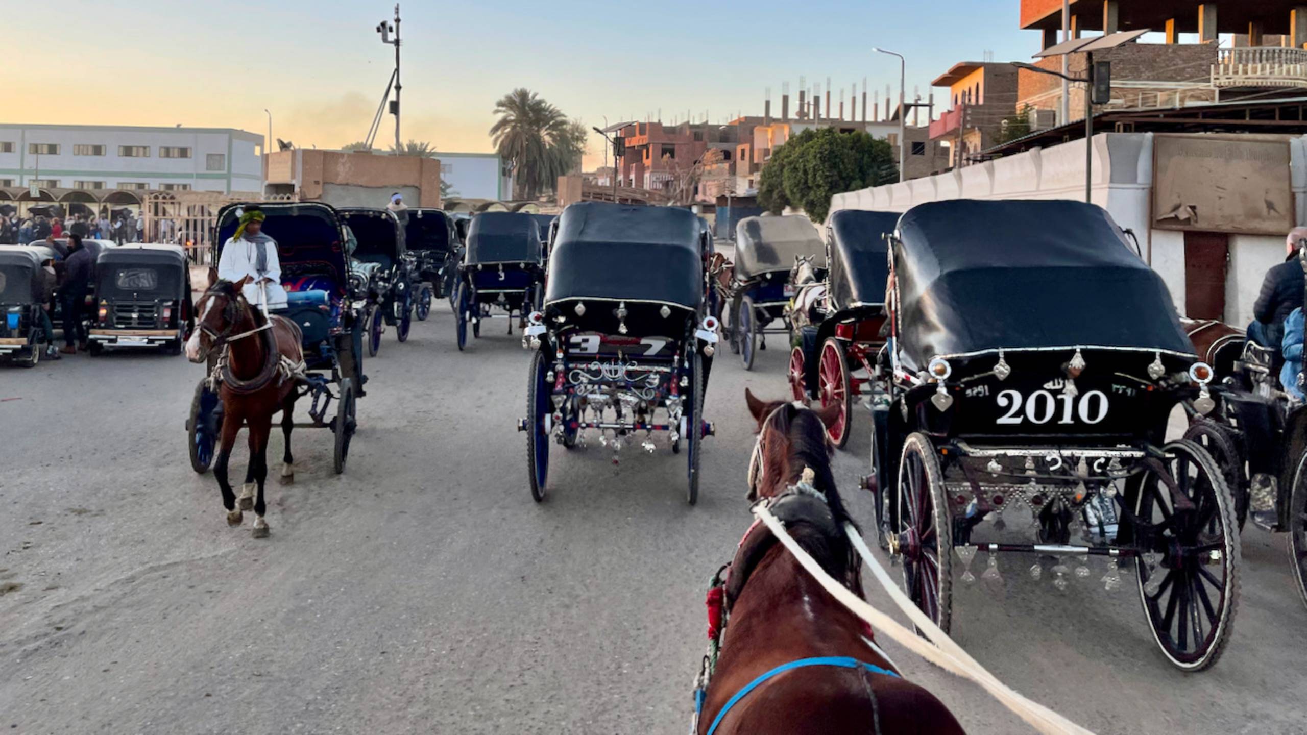 Сумасшедший поток конных повозок мчит к храму Гора в Египте