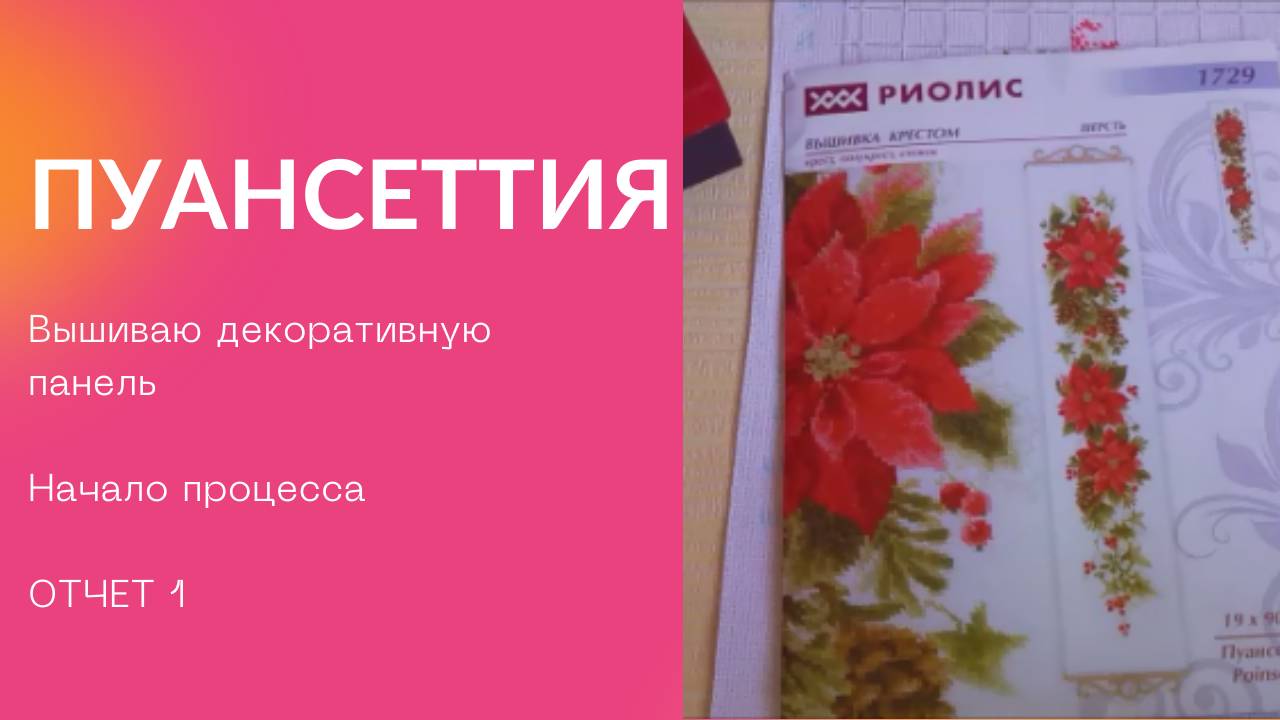 ПУАНСЕТТИЯ - из 2019 в 2020. Летний обзор и весенний ОТЧЕТ 1