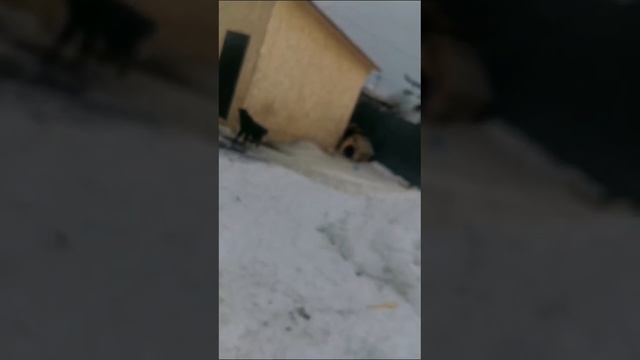 Деревня дураков 2.