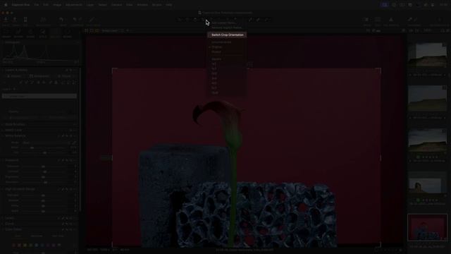 Capture One Tool Introduction ｜ Crop