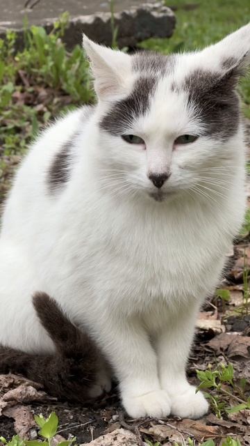 Прогулка по Железноводску 2/04/25