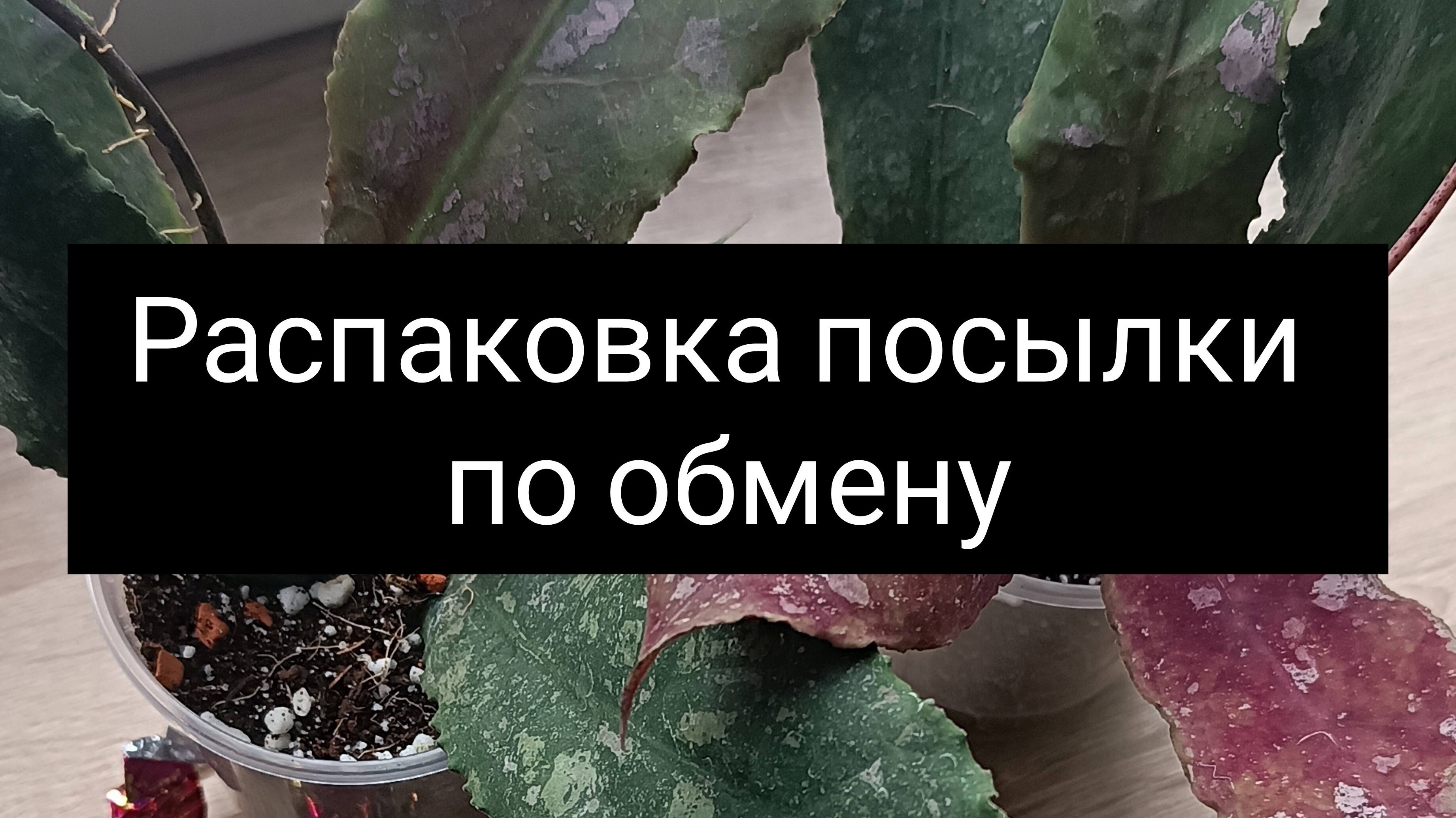 распаковка посылки по обмену