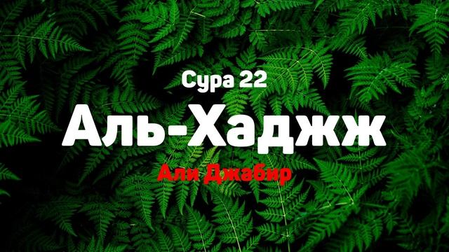 Сура 22 Аль-Хаджж - Али Джабир