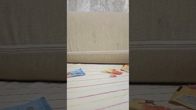 дополнительная трансляция