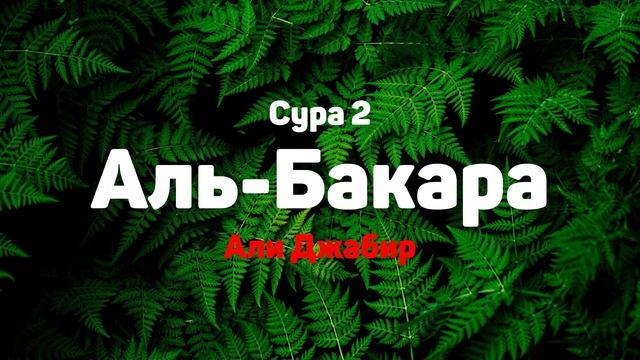 Сура 2 Аль-Бакара - Али Джабир