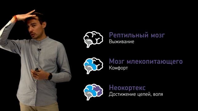 2 Импульсивные и взвешенные решения (360p)