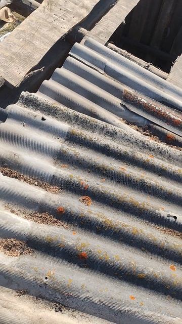 Разбор крыши у сарая которому более 40 лет. 2 часть