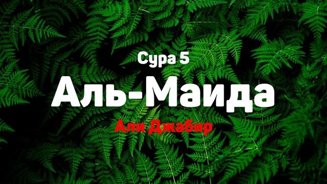 Сура 5 Аль-Маида - Али Джабир