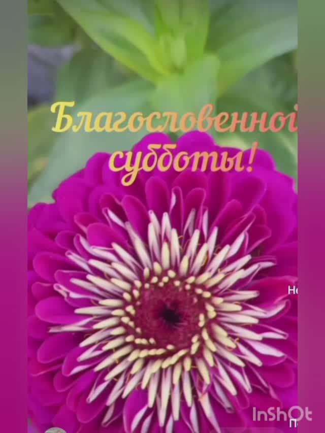 Благословенной субботы!🙏