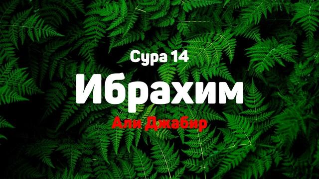 Сура 14 Ибрахим - Али Джабир