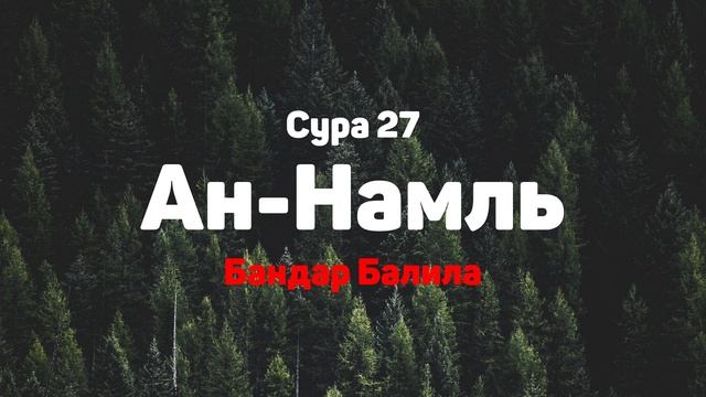 Сура 27 Ан-Намль - Бандар Балила