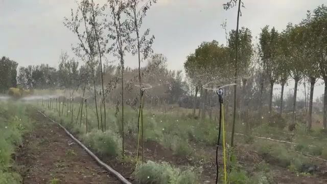 Разбрызгивающая форсунка для полива.