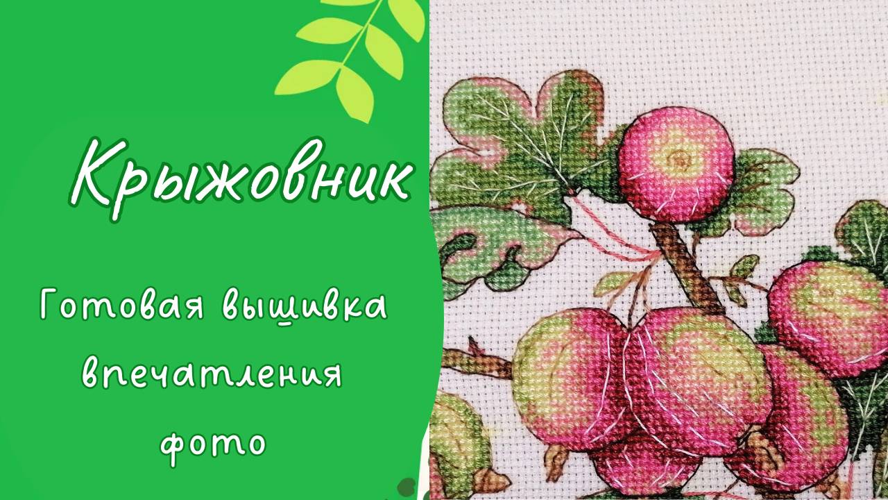 Крыжовник - готовая вышивка крестом. Немного ностальгии и фото