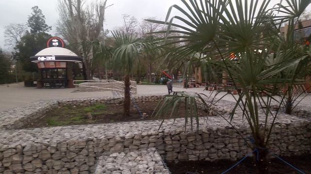 Снова посадили пальмы