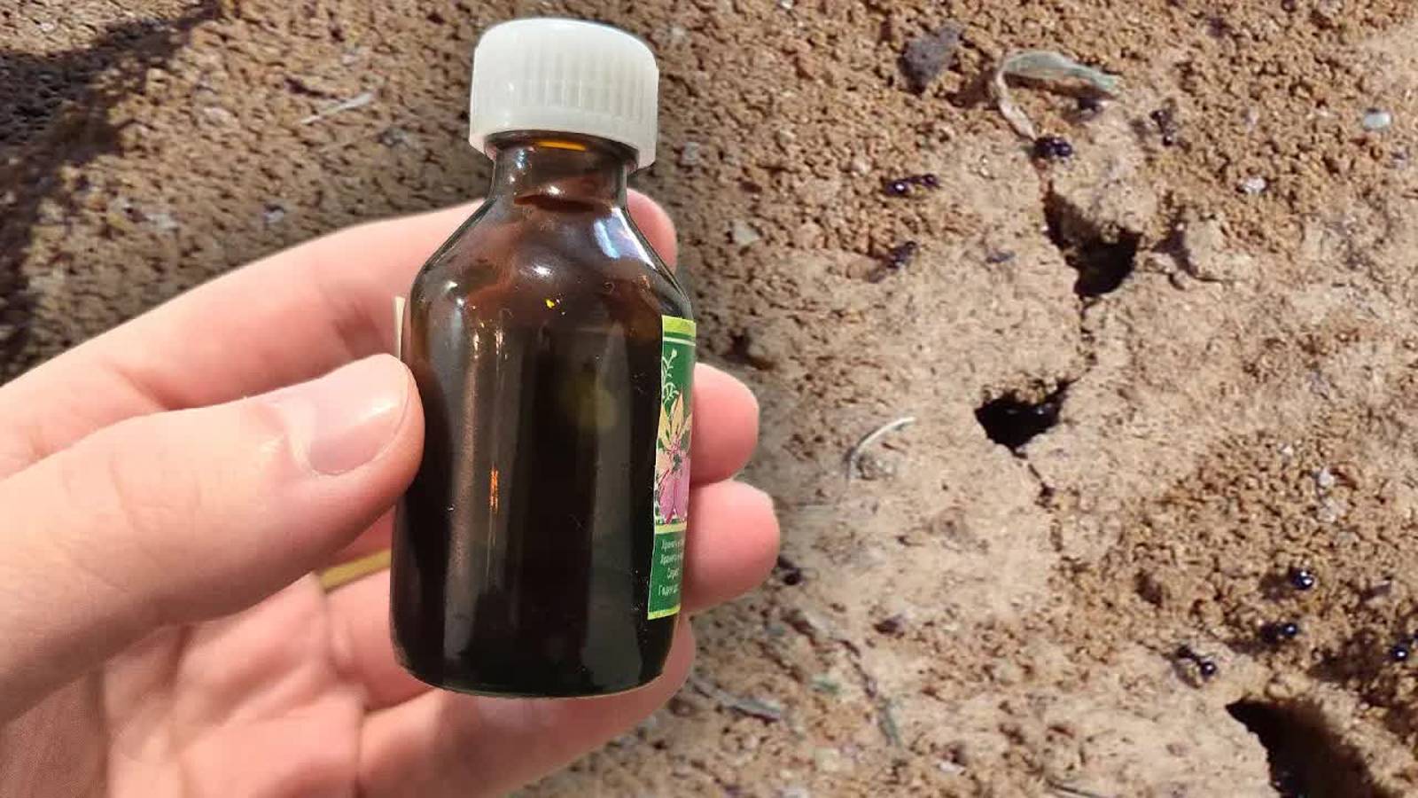 Я не верил, но от МУРАВЬЕВ помогло сразу, прямо на глазах! Проверенный способ!