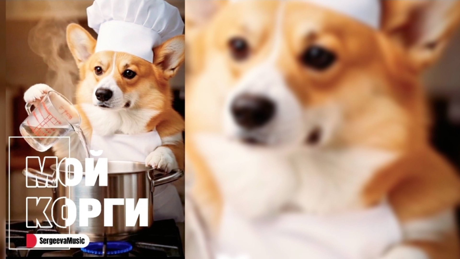 Мой Корги ☆