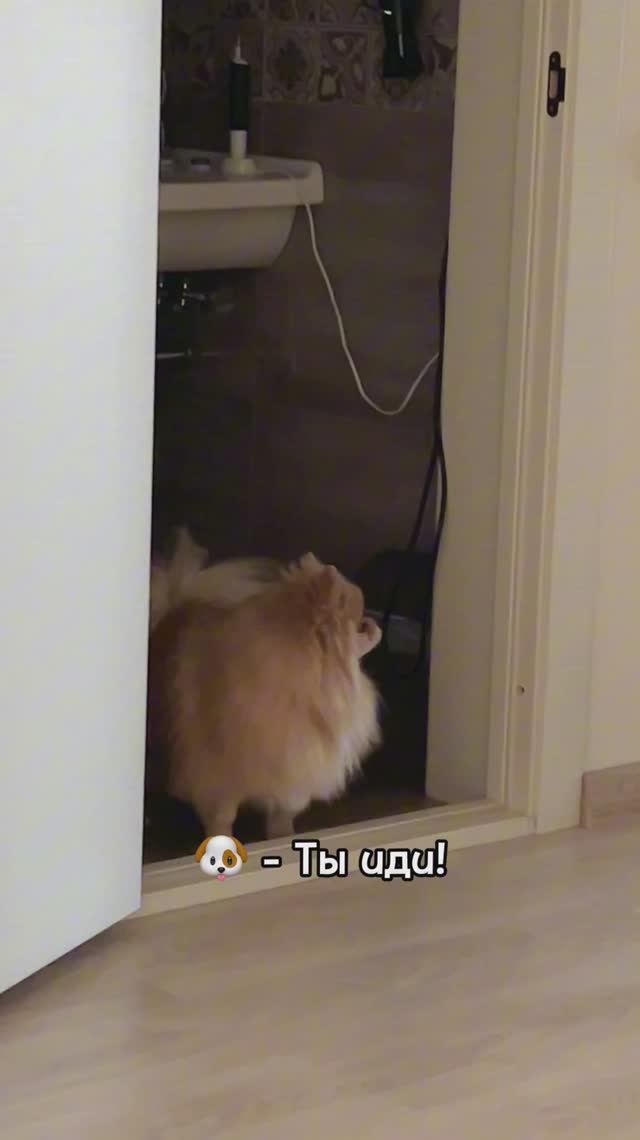 О чём разговаривают Бася и папочка?